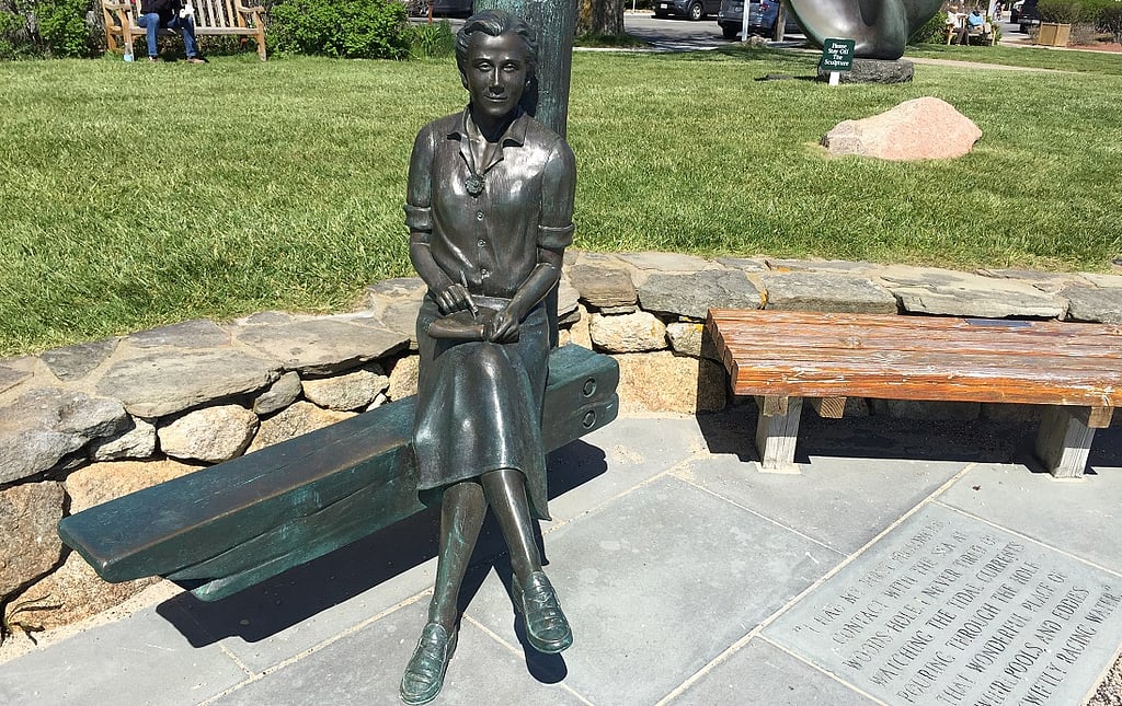 The Enduring Legacy of Rachel Carson’s ‘Silent Spring’ Over Six Decades ...