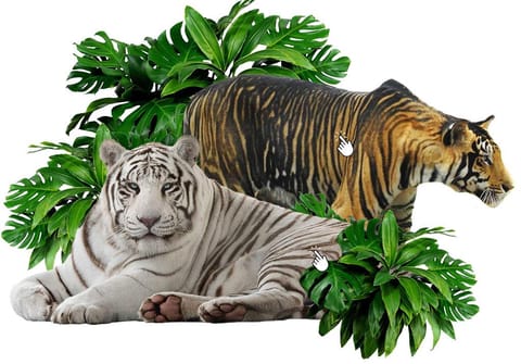 Exploring Melanism: The Fascinating World of Black-Colored Animals
