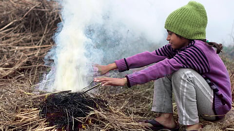 Inclusive Air Pollution Policies: Protecting India's Most Vulnerable ...