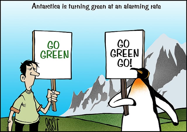 Antarctic Greening: Unveiling the Unexpected Environmental Shift