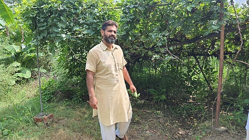 Punjab: Dead soil in India’s ‘food bowl’ is about to summon the ghost ...