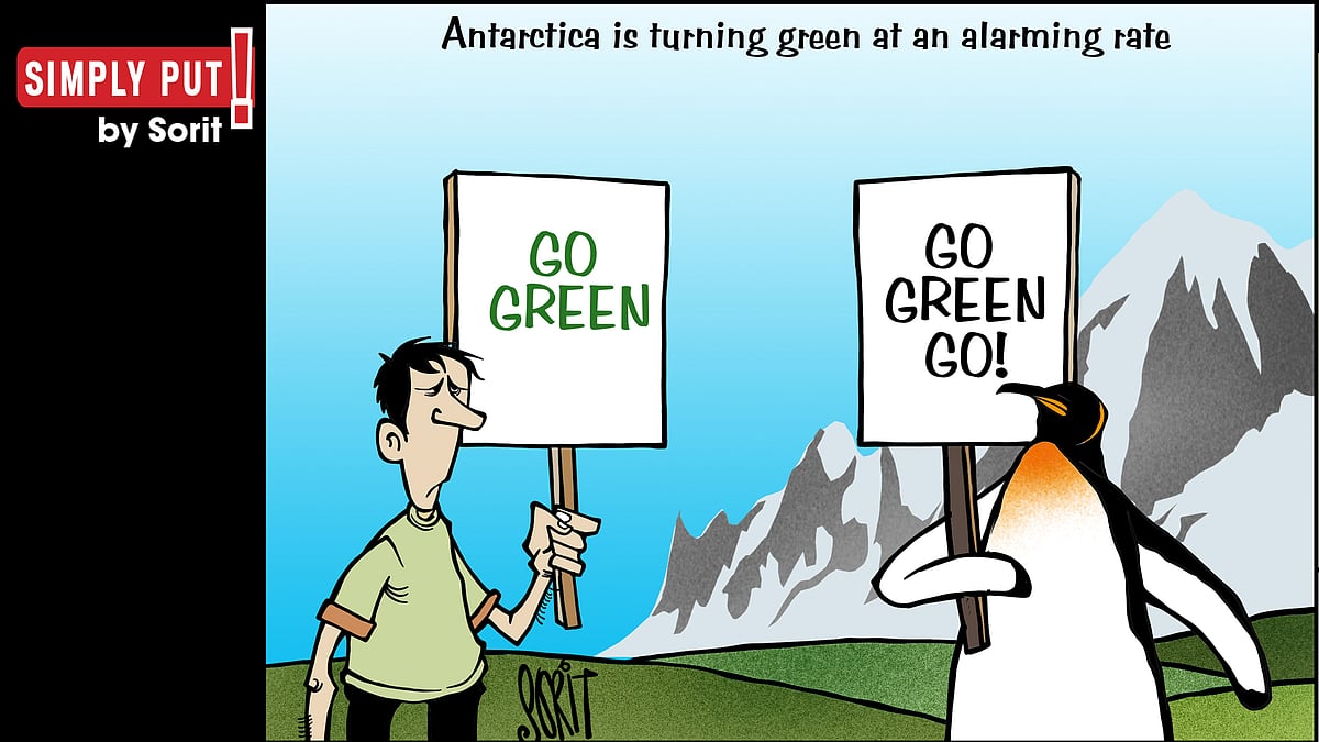 Antarctic Greening: Unveiling the Unexpected Environmental Shift