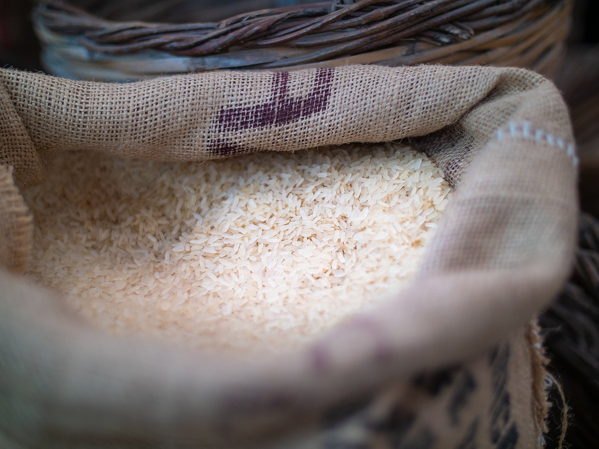 Karnataka's Direct Benefit Transfer for Rice: Study Highlights Economic ...