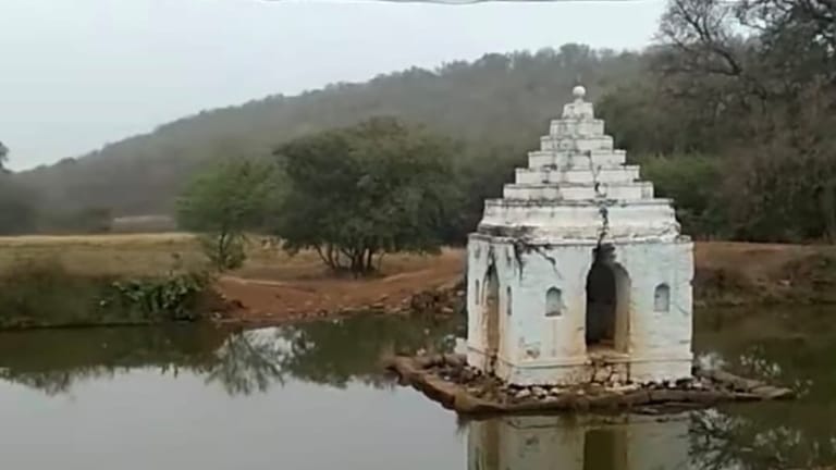 Activists and Locals Protest Navy Radar Station in Telangana's ...