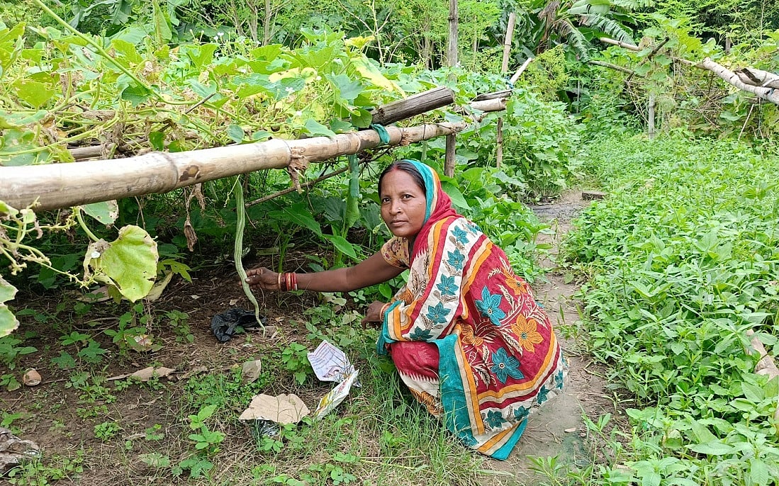 Developing Resilient Livelihoods in Ecologically Fragile Areas: A Case ...