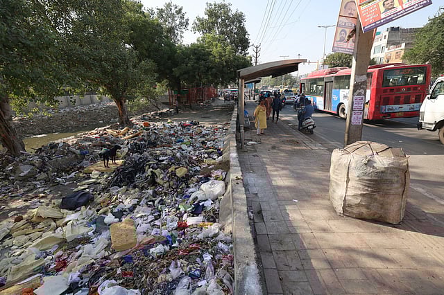 Delhi's Roadside Litter: A Stark Reminder of Ineffective Waste Management