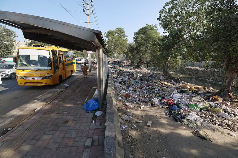 Delhi's Roadside Litter: A Stark Reminder of Ineffective Waste Management