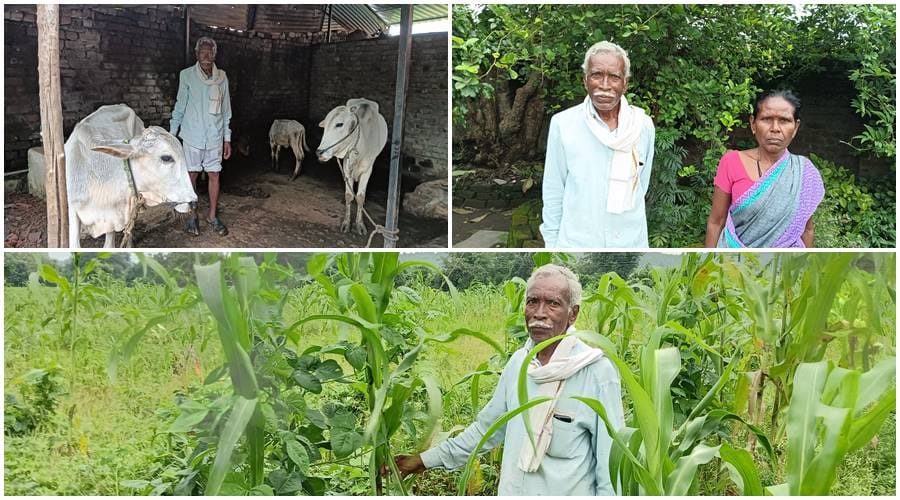 Maharashtra Farmers Embrace Integrated Farming for Higher Profits and ...
