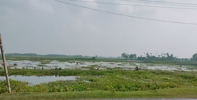 Water Logging Threatens Agriculture in Bihar's Pulse Bowl Mokama Tal
