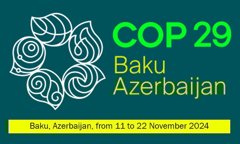 COP 29