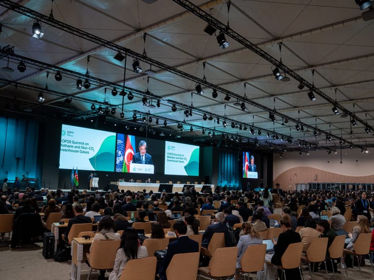 COP29 Diary (November 12, 2024)...
