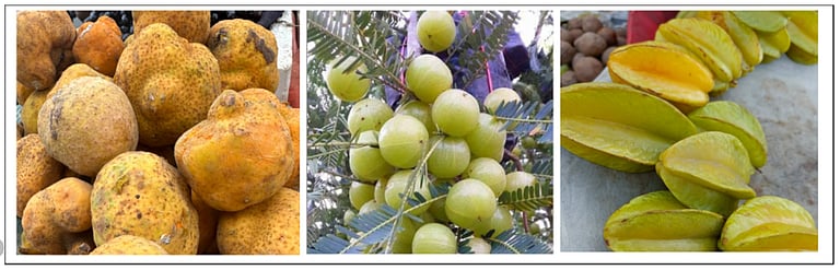 Cultivating Curiosity: Introducing Urban Youth to Lesser-Known Fruits