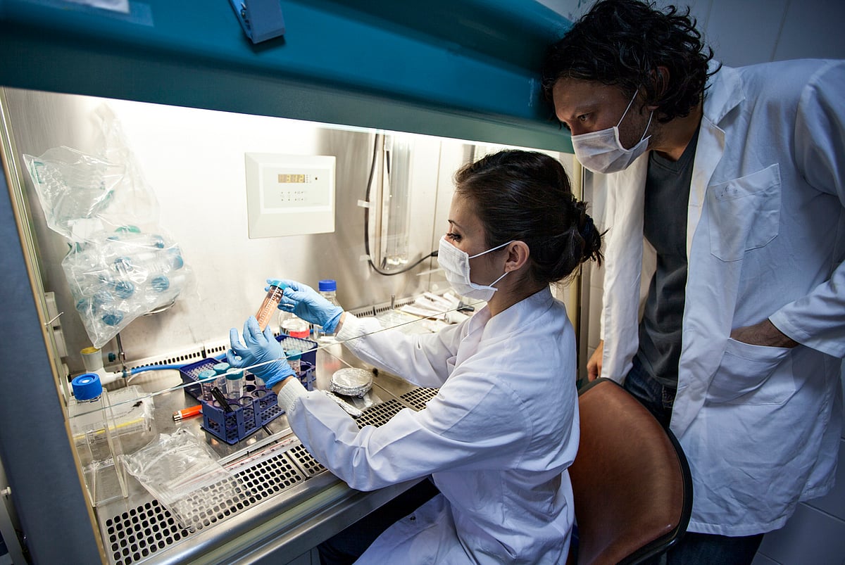 HIV Cure: Breakthroughs and Progress in the Fight Against AIDS