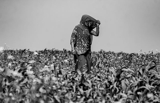 Portraits of Persistence: Celebrating the Resilience of North Bihar's ...