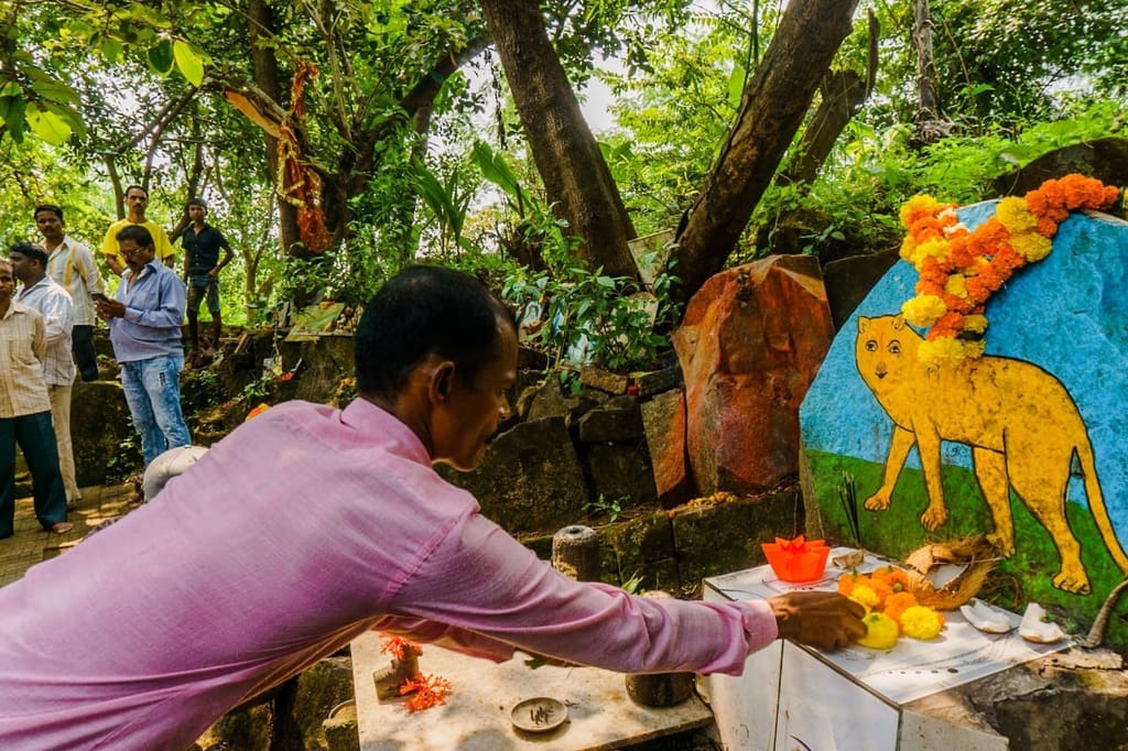 Preserving India's Sacred Groves: A Key to Climate Goals and ...