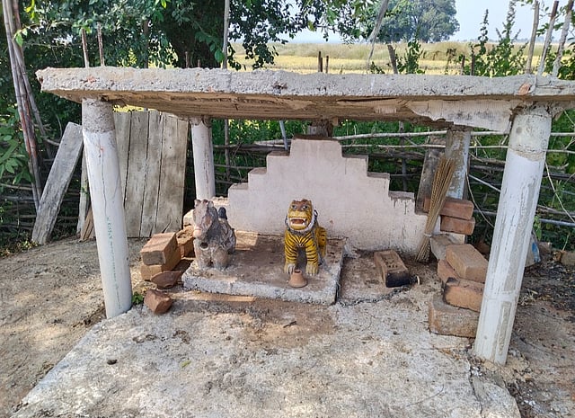 Preserving India's Sacred Groves: A Key to Climate Goals and Biodiversity Conservation