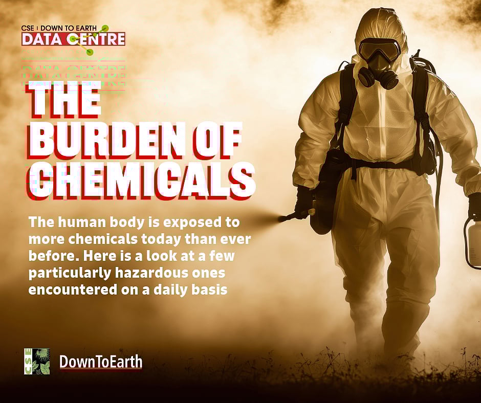 Surrounded by Poisons: The Hidden Dangers in Our Environment