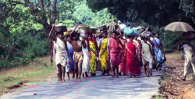 IPBES Nexus Report Highlights Indigenous Knowledge in Nature Conservation