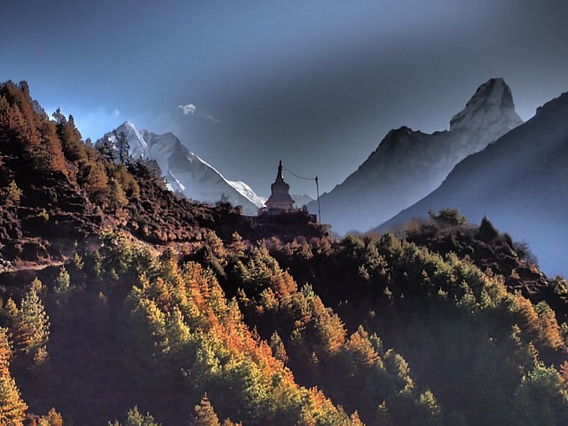 Climate Change Shifts Himalayan Tree Landscape: Fir Replacing Birch