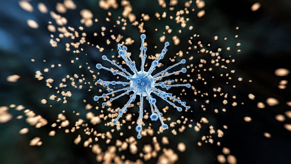 Recap 2024: How pathogens emerged in new territories and forms this year