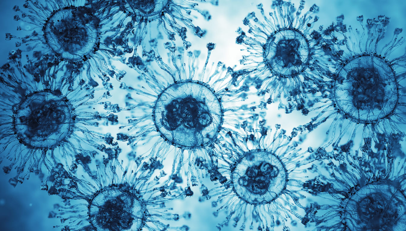 UN Report Warns of Imminent Pandemic Threats by 2030 Due to Emerging ...