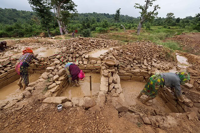 Diamond Mining in Panna: A Threat to Madhya Pradesh's Tiger Reserve?