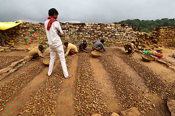 Diamond Mining in Panna: A Threat to Madhya Pradesh's Tiger Reserve?