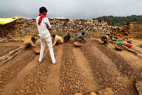 Diamond Mining in Panna: A Threat to Madhya Pradesh's Tiger Reserve?