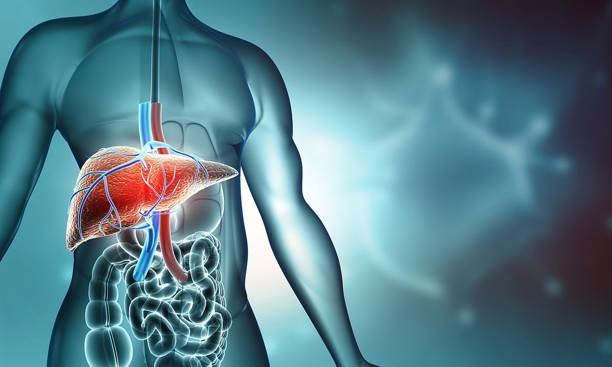 Groundbreaking Liver Transplant Cures Woman's Advanced Bowel Cancer