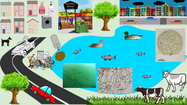 Urgent Action Needed: The Crisis of Urban and Peri-Urban Waterbodies
