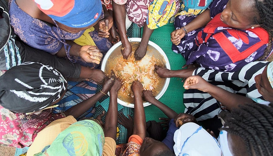 Fonio: The Ancient African Millet Gaining Global Attention