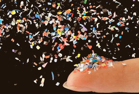 Study Reveals: Microplastics in Air Enter Plant Leaves, Impacting Food ...