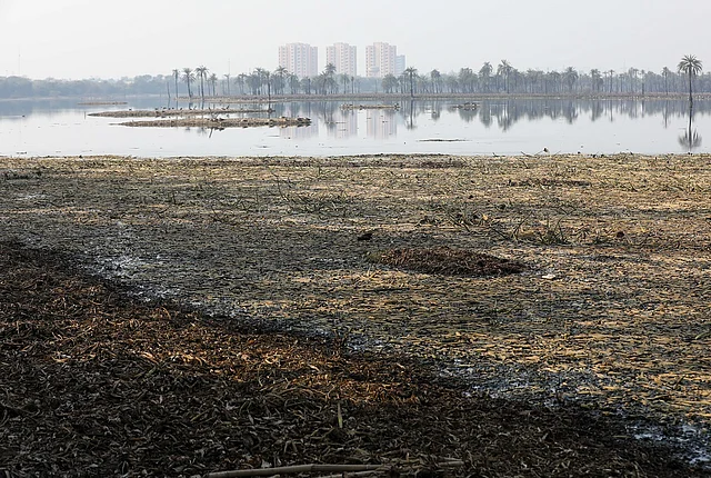 Greater Noidas Surajpur Wetland Conservation Project Initiated