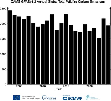 Unprecedented Scale of LA Fires in Over 20 Years: Insights from Mark ...