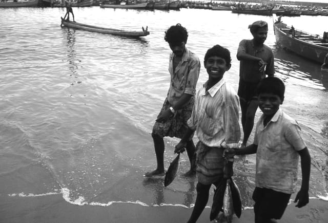Exploring Kerala's Fishing Community: Tradition, Challenges, and Culture