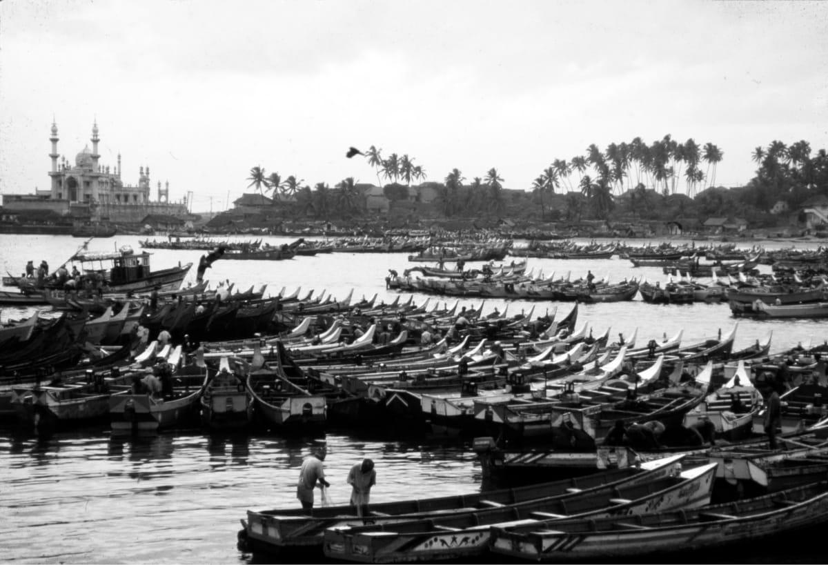 Exploring Kerala's Fishing Community: Tradition, Challenges, and Culture