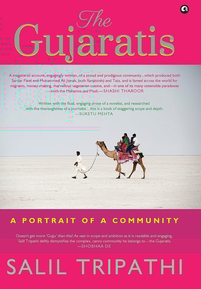 Exploring the Lives of Gujarat's Maldhari Pastoral Nomads