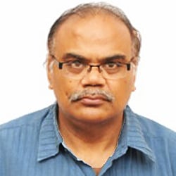 Telangana Forest Crisis: Urgent Action Needed to Halt Decline in Green ...