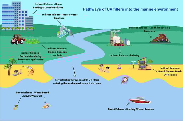 Scientists Urge Immediate Action on Sunscreen Pollution Threatening ...