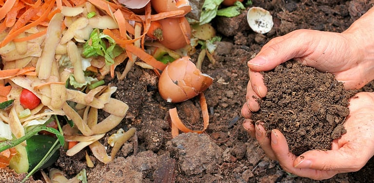 Gobar Times: Learn Composting Basics and the Role of Microbes