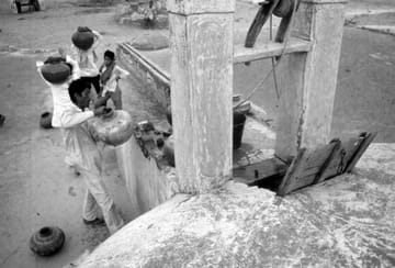 Kundi: Timeless Rainwater Harvesting Sanctuaries in Rajasthan's Desert