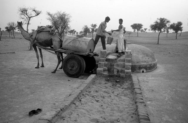 Kundi: Timeless Rainwater Harvesting Sanctuaries in Rajasthan's Desert
