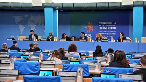 CBD COP16 Secures Historic $200 Billion Biodiversity Funding Agreement