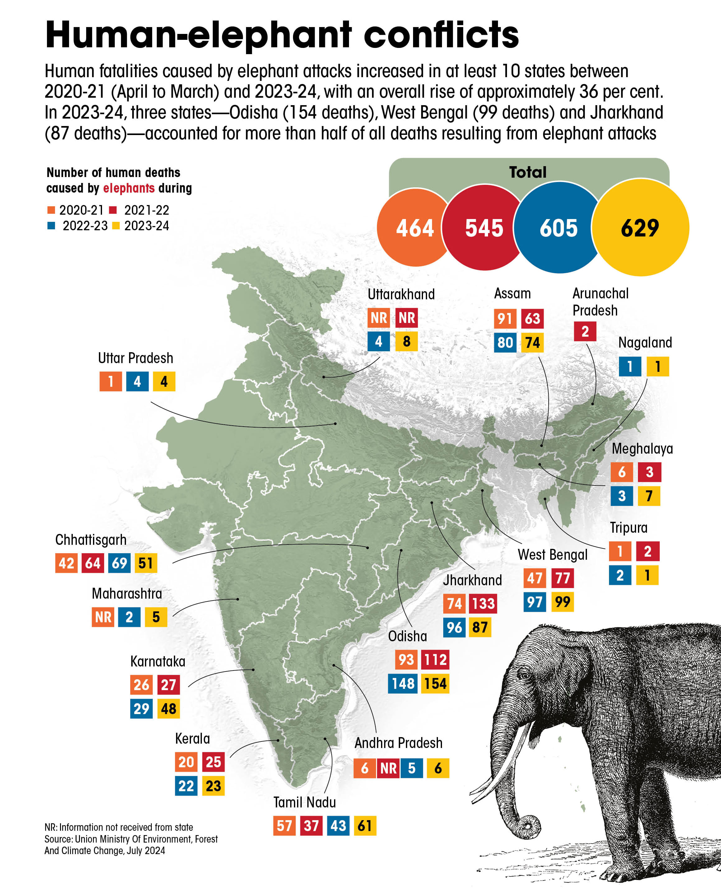 Elephant Attack Human