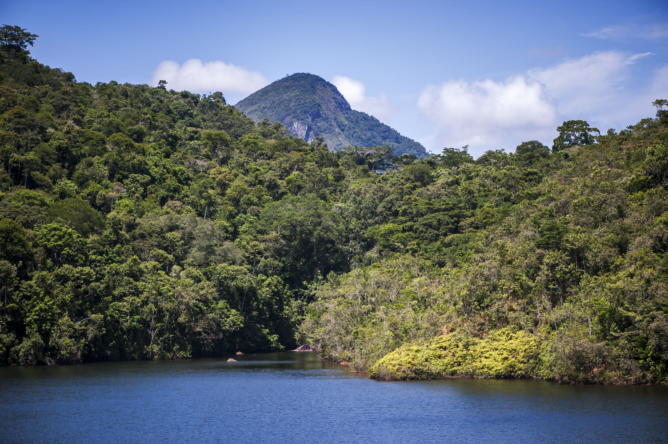 CBD COP16 Secures Historic $200 Billion Biodiversity Funding Agreement