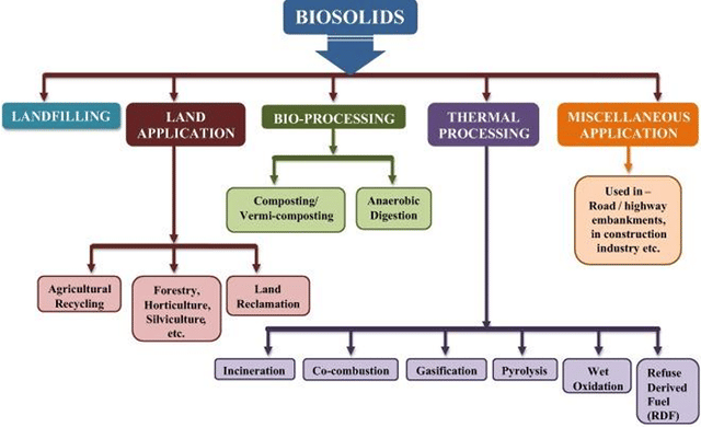 Biosolids hold untapped potential — using them can revolutionise Indian ...