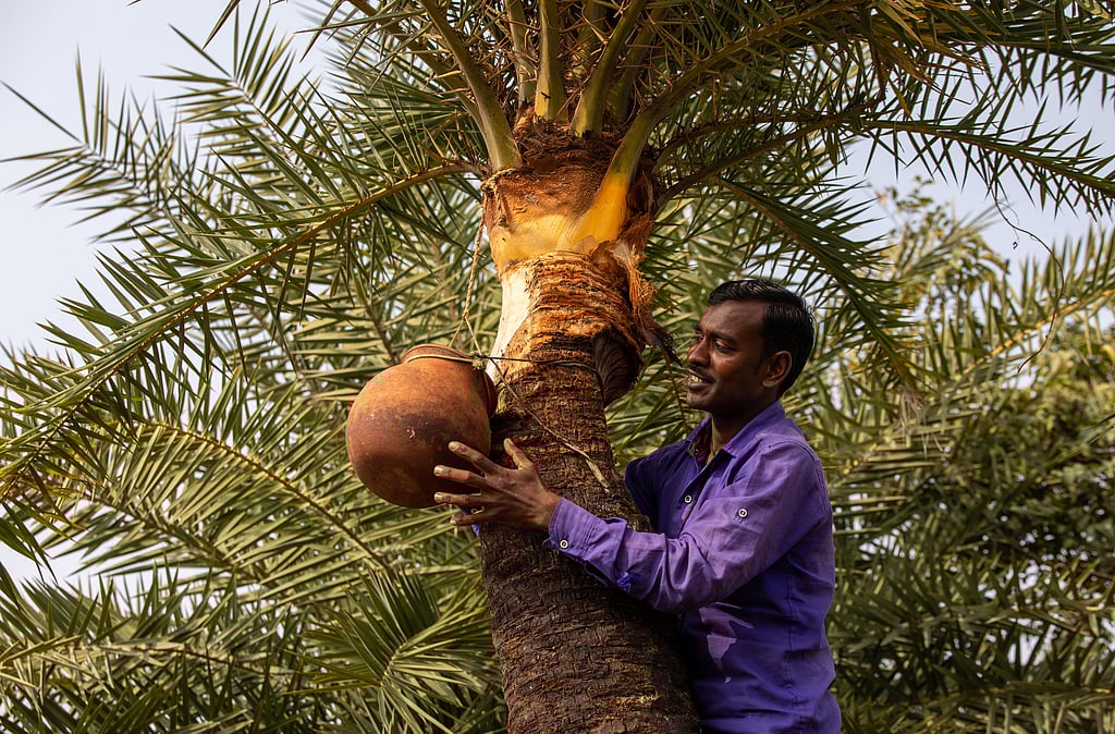 Traditional Toddy Tapping in Jharkhand: A Dying Craft Amid Modern ...