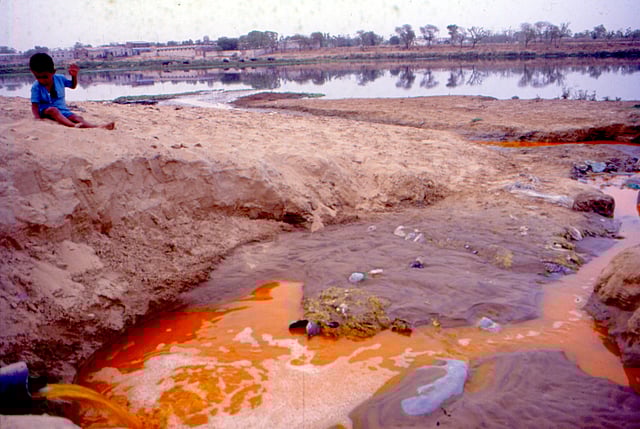 Textile Dyeing in India: A Major Threat to River Ecosystems and Public ...