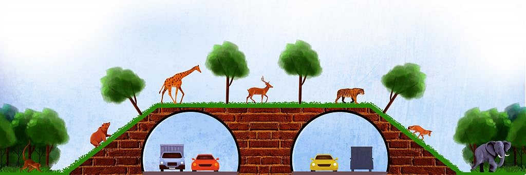 Gobar Times: The Everlasting Journey of Migration and Opportunity