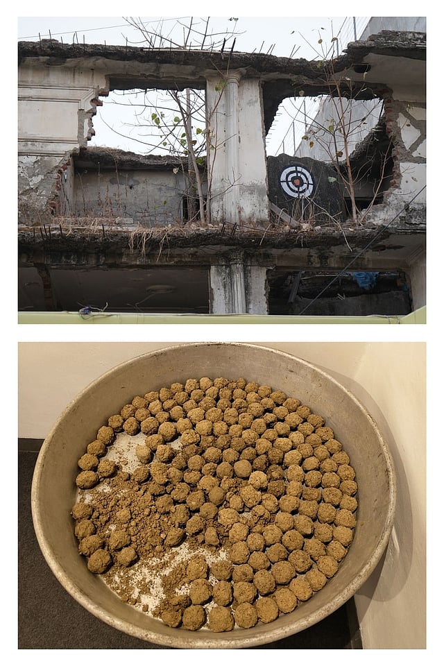 Pest politics: An artistic lens on problems with human classification ...